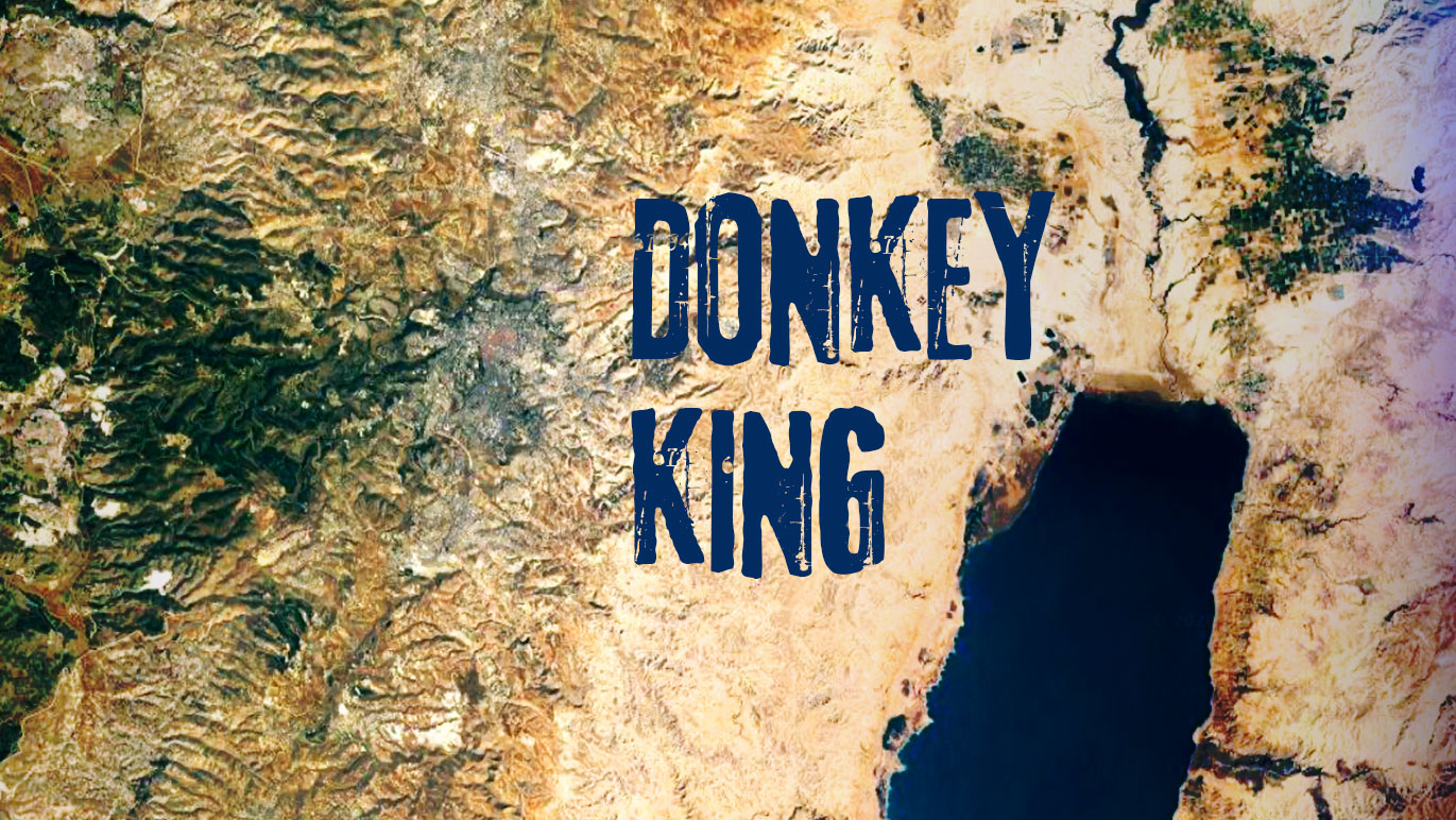 Donkey King